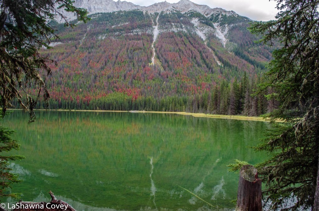 Jasper National Park- Beaver and Summit Lakes Hike | My So Called ...