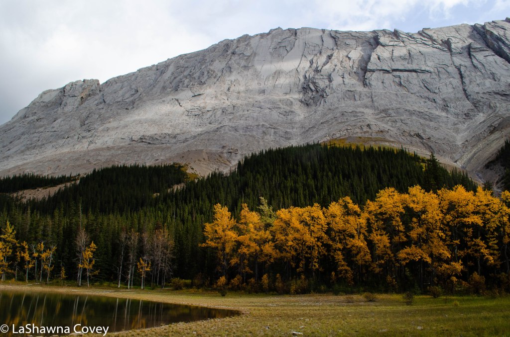 Jasper National Park- Beaver and Summit Lakes Hike | My So Called ...