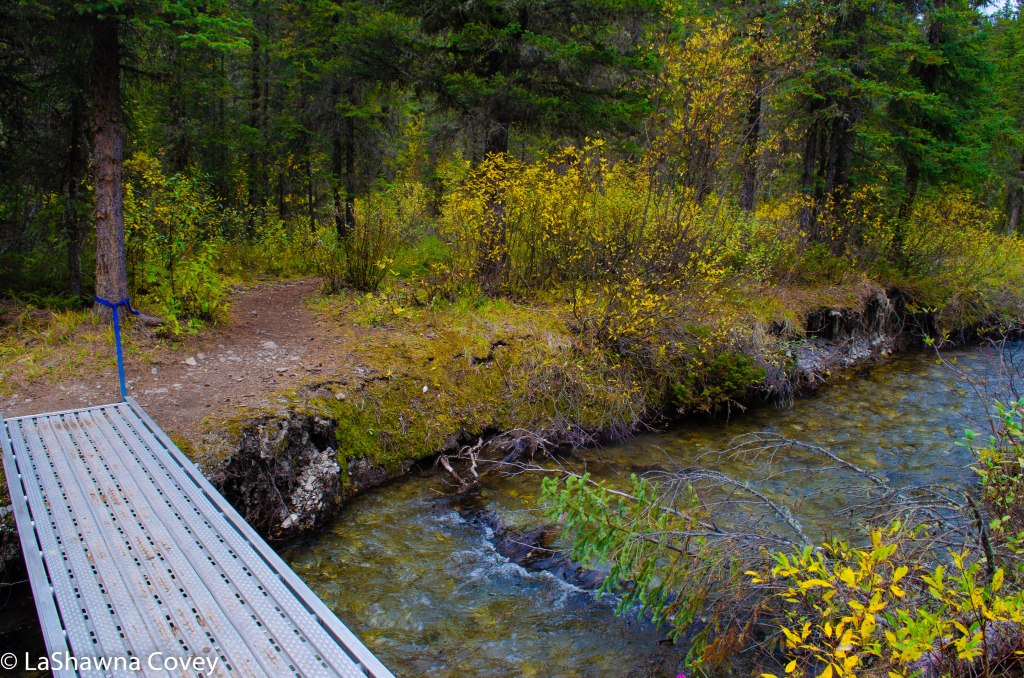 Jasper National Park- Beaver and Summit Lakes Hike | My So Called ...